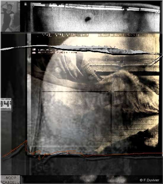 The Damagedcorpse Corporation-Digital collages