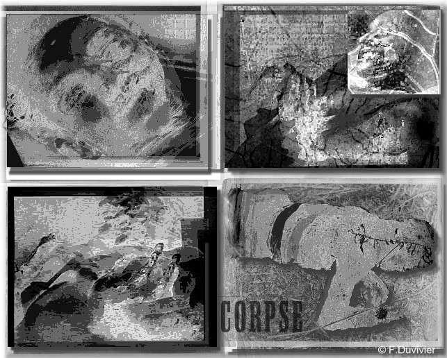 The Damagedcorpse Corporation-Digital collages